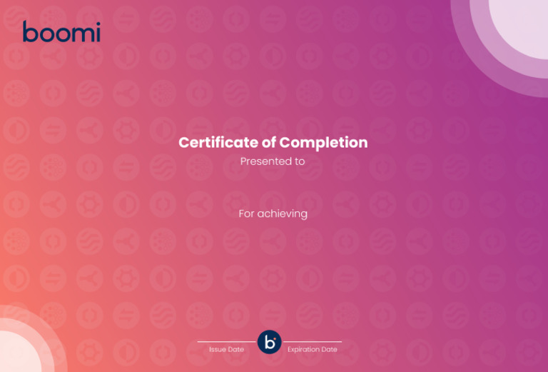 Boomi Certification Thais Holanda | PDF