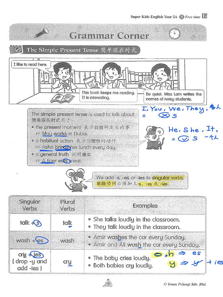 P2 Grammar Exercises | PDF