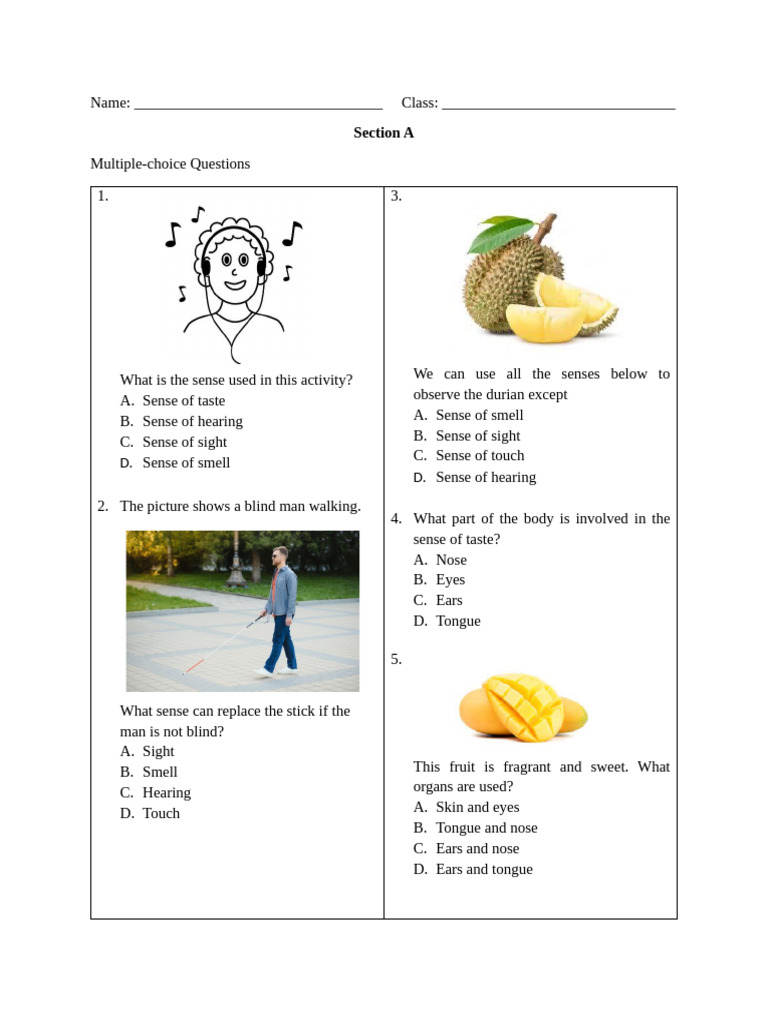 Science Senses and Non-Living Things Quiz | PDF | Senses | Taste