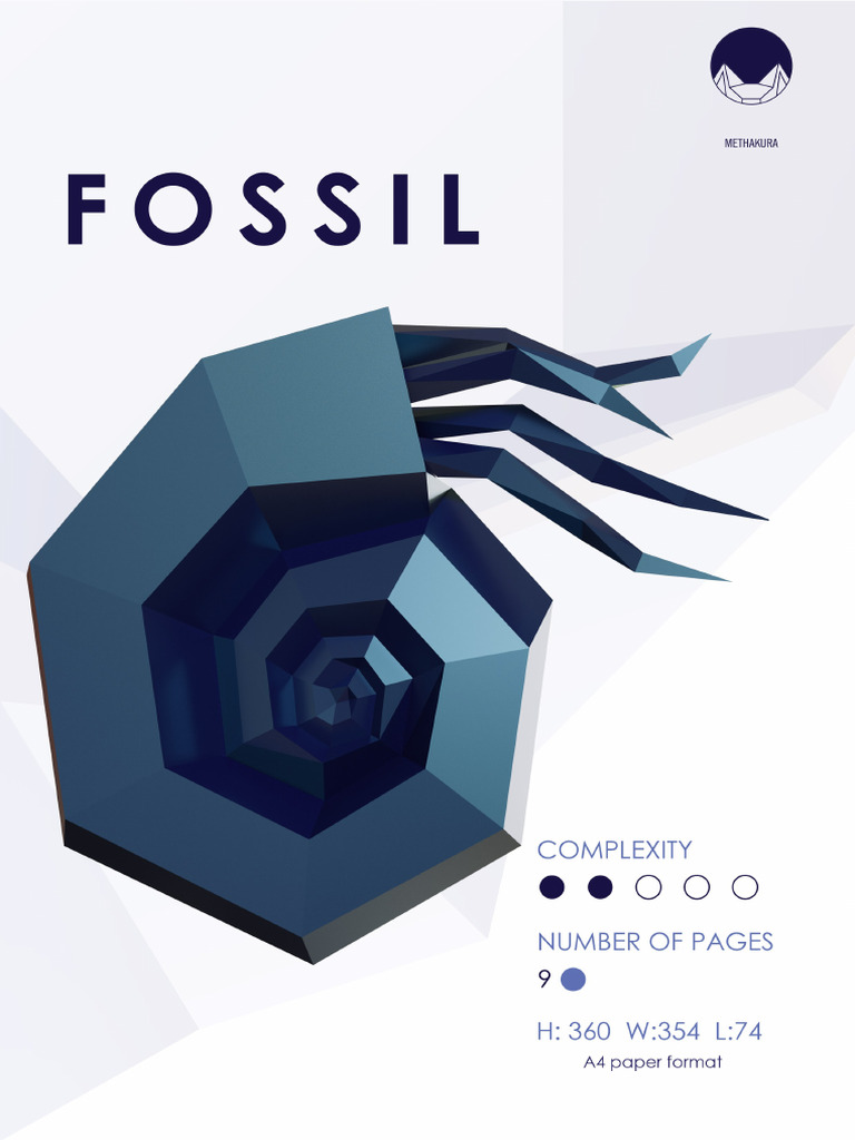 Fossil | PDF
