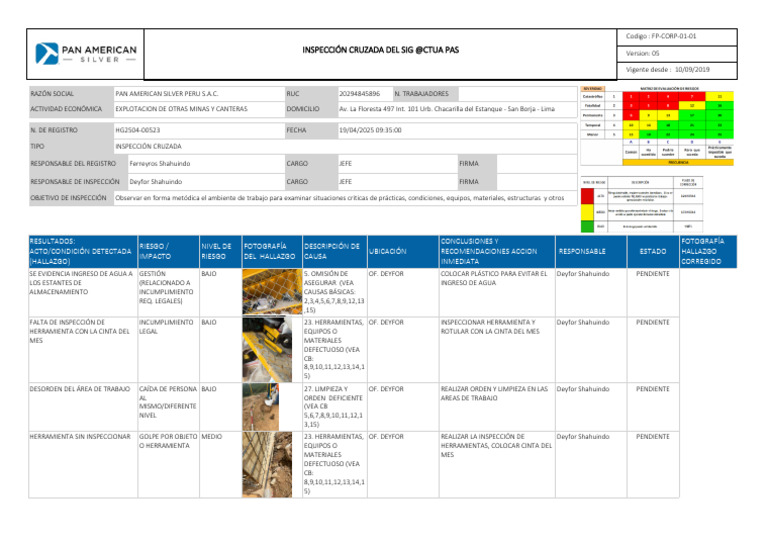 Inspeccion Cruzada Deyfor | PDF