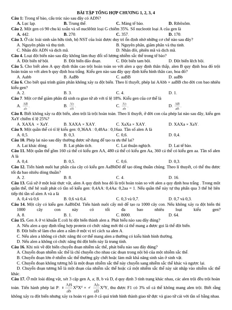 BT TH Chương 1, 2, 3, 4 | PDF