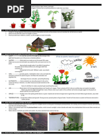 Malta Skill Pass Test Notes | PDF | Malta | English Language