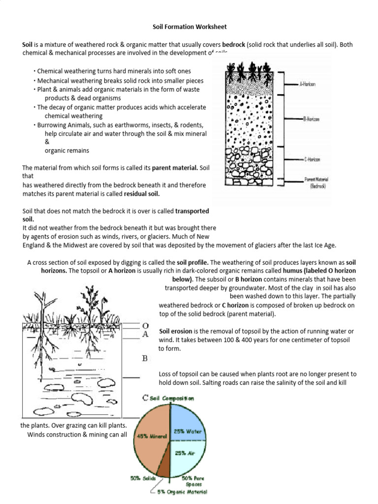 Soil Formation Worksheet 2016 | PDF | Soil | Topsoil