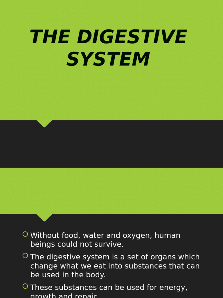 Digestive-System PowerPoint and Reviewer | PDF | Stomach | Digestion