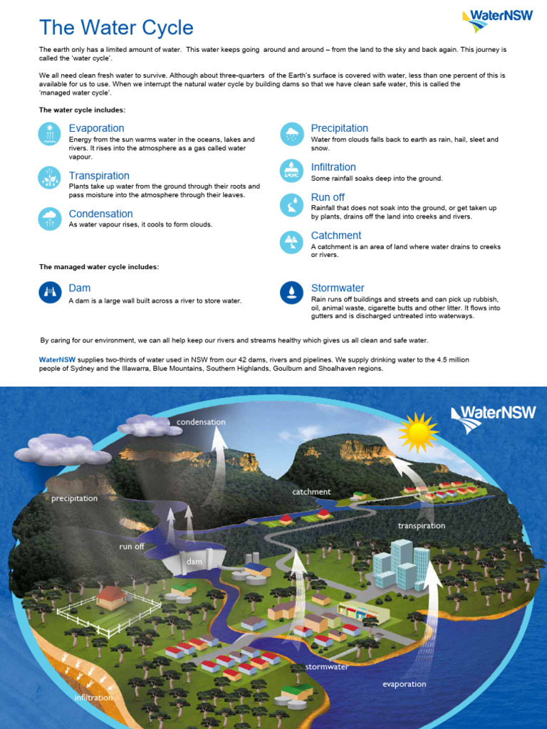 WaterNSW WaterCycle2018-002 | PDF | Water Cycle | Water