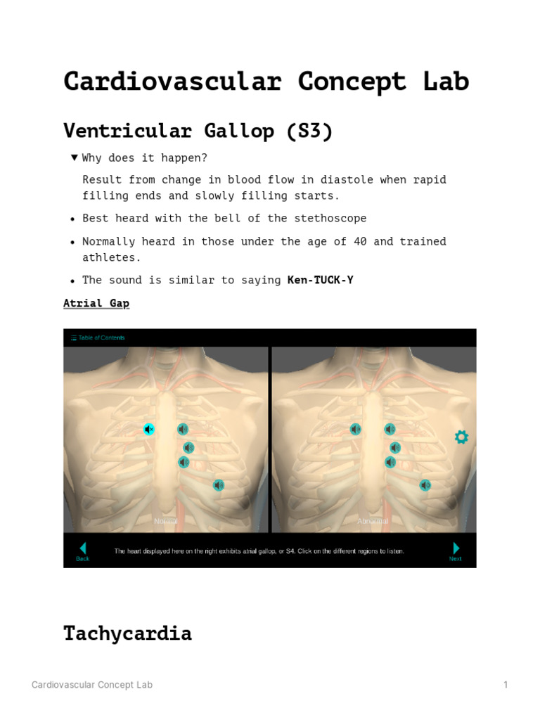 Cardiovascular Concept Lab Overview | PDF | Heart | Circulatory System