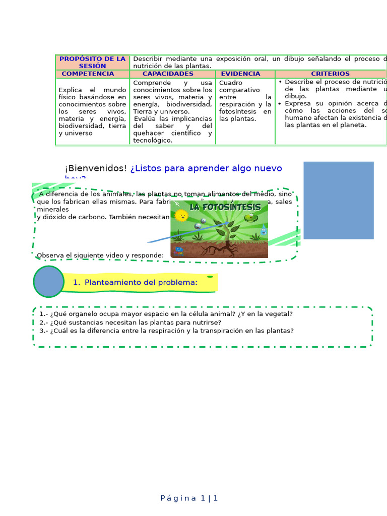 1° CYT - FICHA DE APRENDIZAJE - vf | PDF