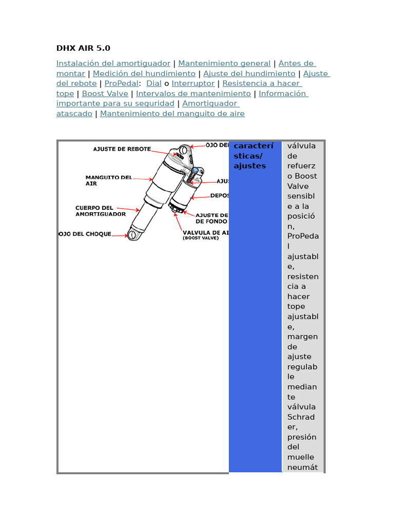 Fox DHX 5.0 2010 | PDF | Neumático | Tornillo