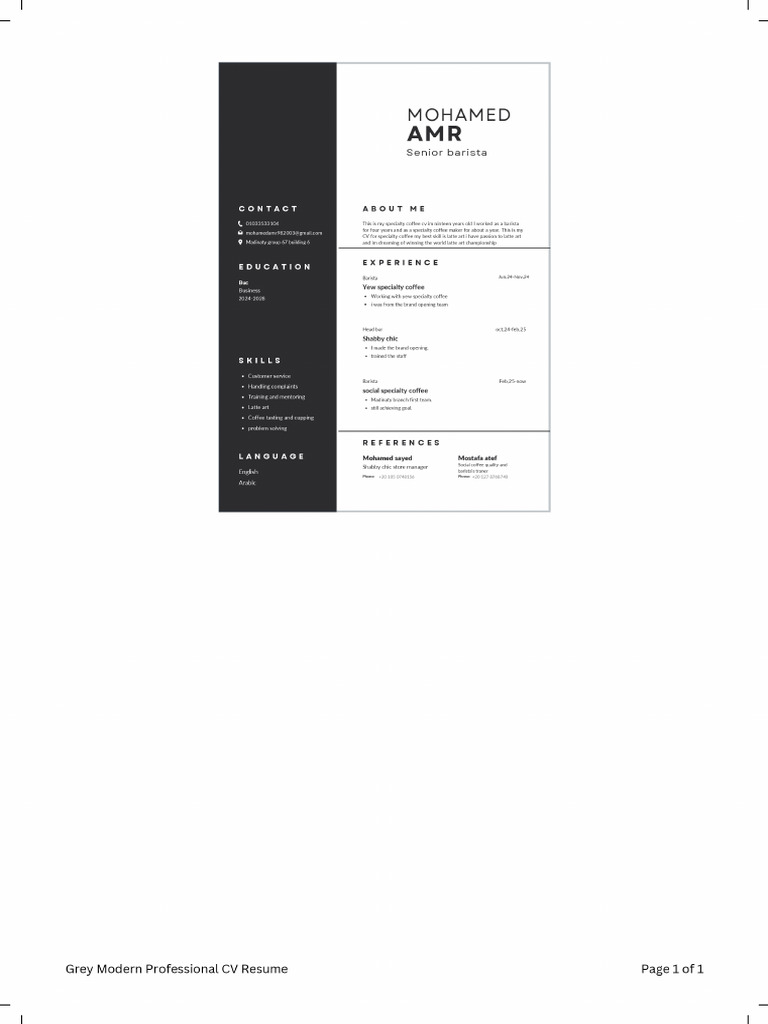 Grey Modern Professional CV Resume 2 | PDF