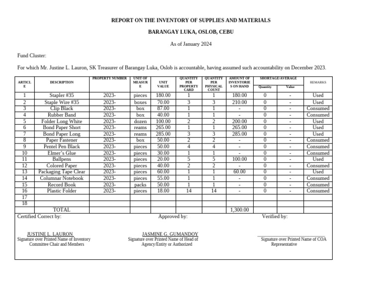 Barangay Luka Inventory Report 2024 | PDF