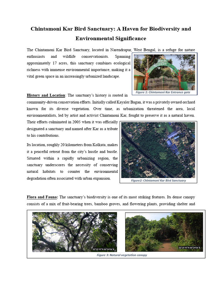 Chintamoni Kar Bird Sanctuary Overview | PDF | Ecology | Surface Runoff