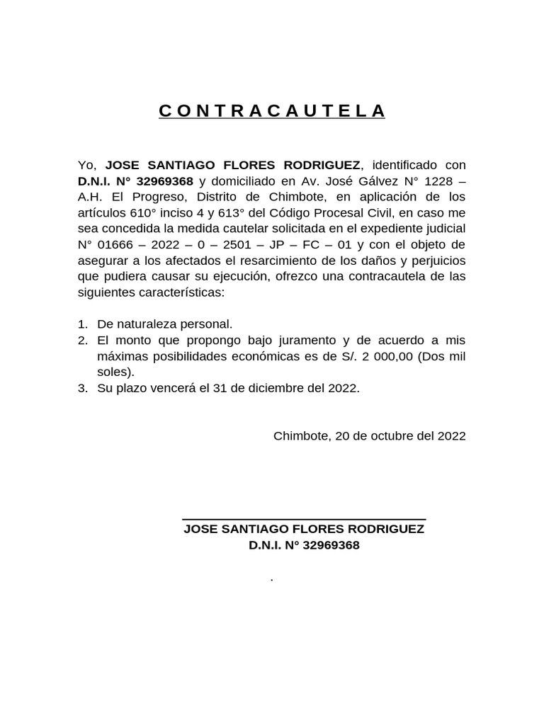Contracautela: Jose Santiago Flores Rodriguez D.N.I. #32969368 | PDF