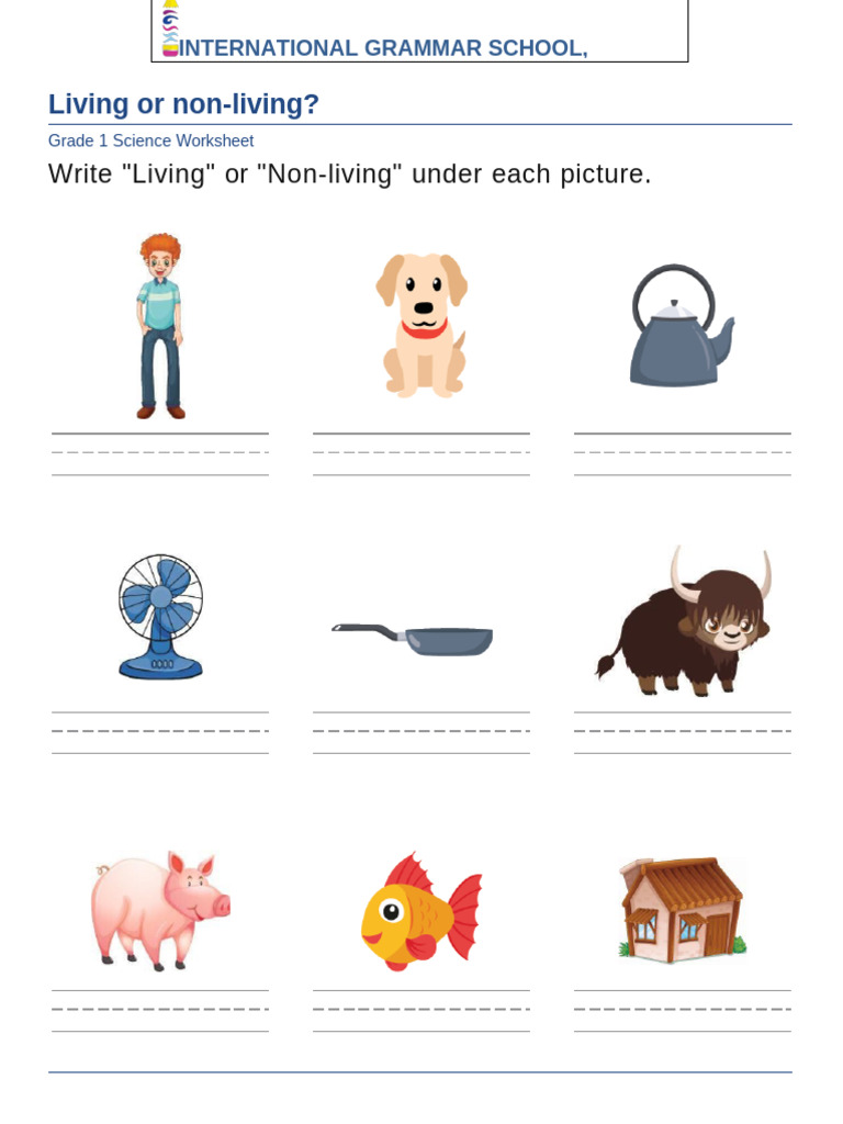 Grade 1 Living Things e | PDF