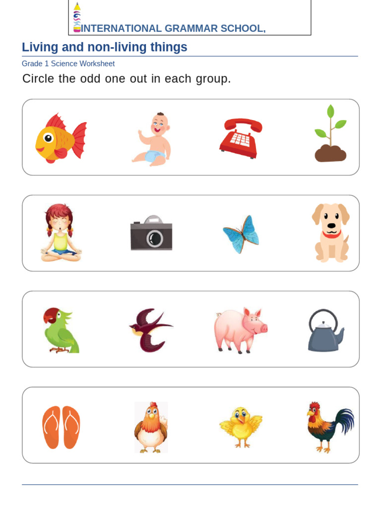 Grade 1 Living vs Non-Living Worksheet | PDF