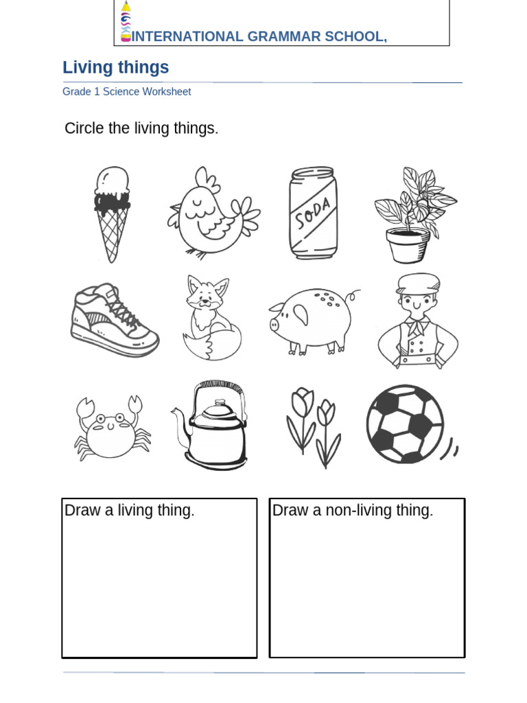 Grade 1 Science: Living vs Non-Living | PDF