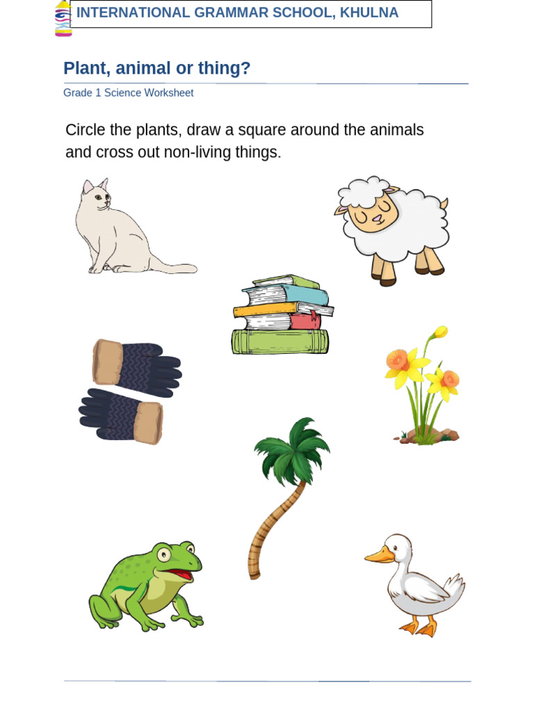 Grade 1 Plant Animal Thing A | PDF