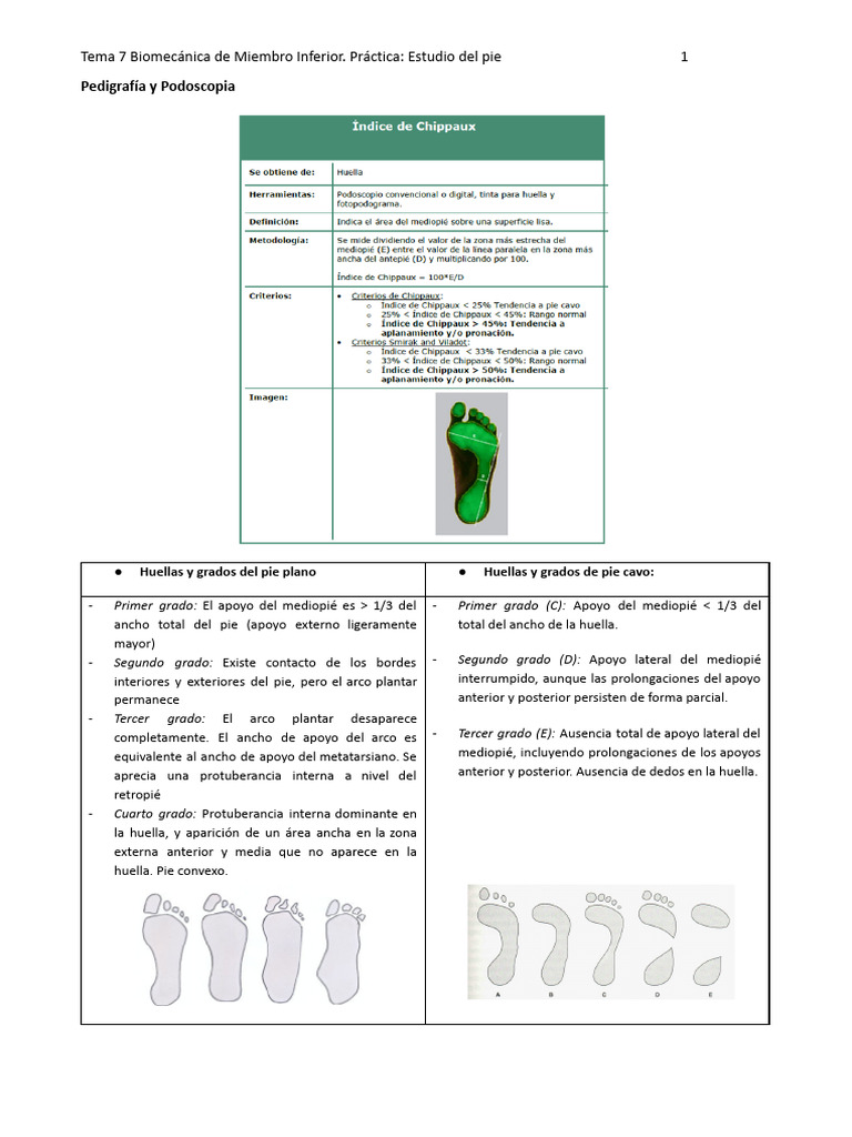 Actividad Estudio Del Pie | PDF