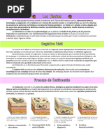 Procesos de Fosilización y Tafonomía | PDF | Fósil | Paleontología