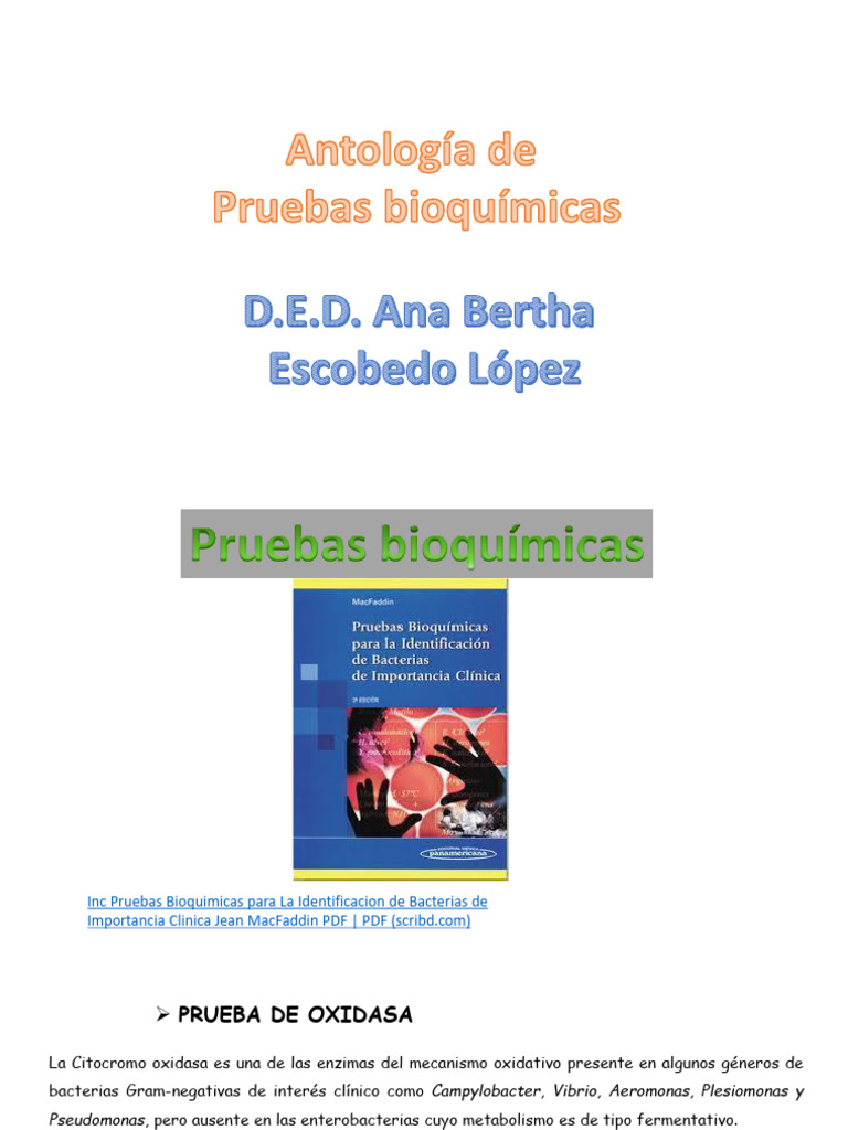 Antología Pbas - Bioquímicas | PDF | Bacilo | Estreptococo