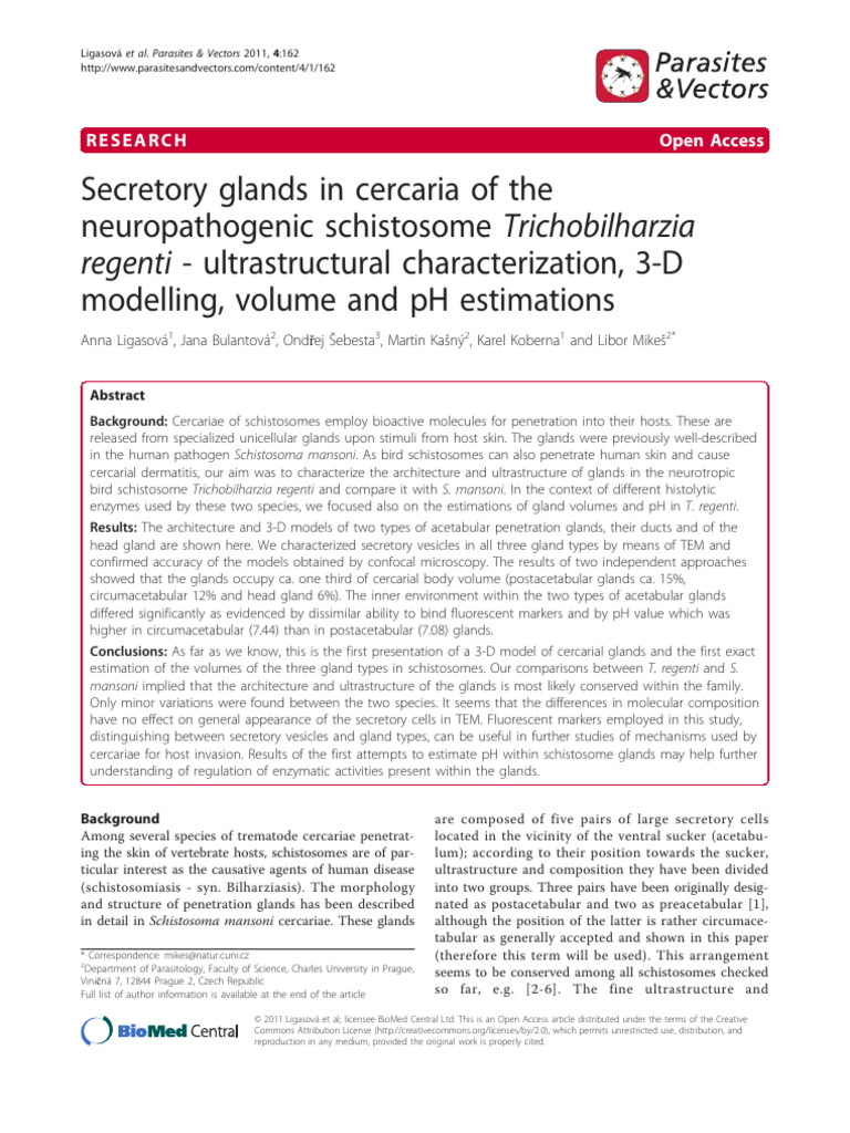 Secretory Gland Ultrastructure | PDF | Microscope | Calcium In Biology
