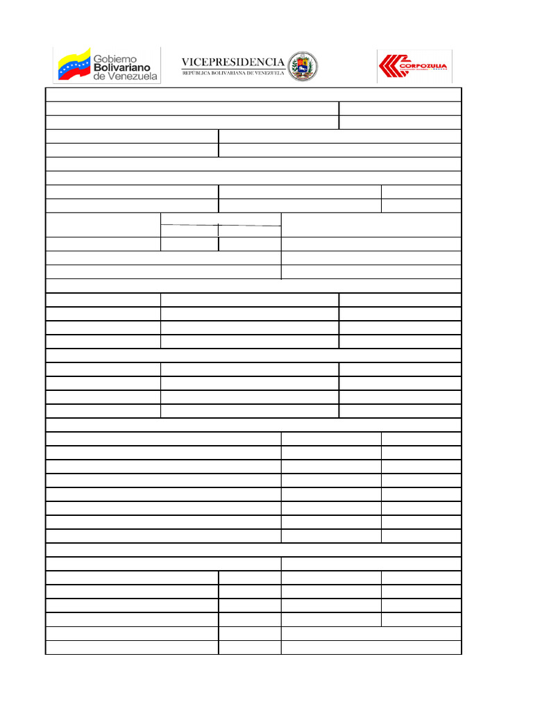 Planilla Declaracion CGR | PDF