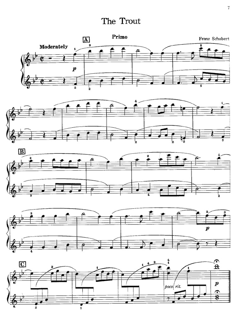 The Trout Primo | PDF