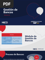 Instructivo para Pagos E5cinco | PDF | Internet | Informática