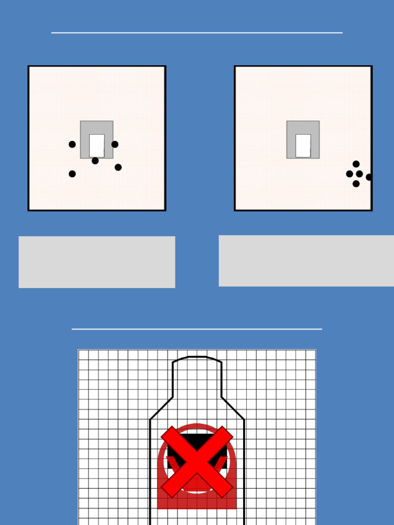 Accuracy vs Consistency in Shooting | PDF | Firearms | Ballistics