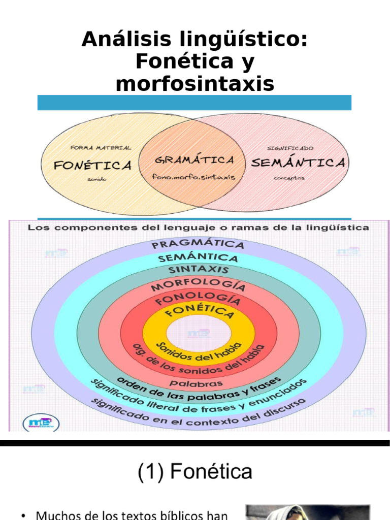 12 Análisis Lingüístico Fonética y Morfosintaxis | PDF