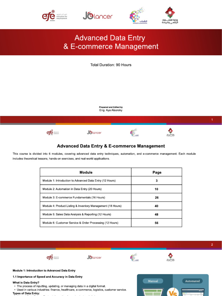 Advanced Data Entry & E-Commerce Management | PDF | Microsoft Excel ...