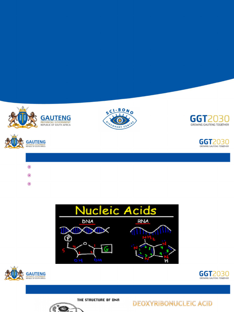 Life Sciences Gr.10 Lesson 28 Vitamins and Nucleic Acid | PDF