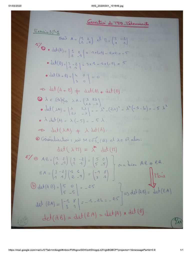 Correction TD Déterminants | PDF
