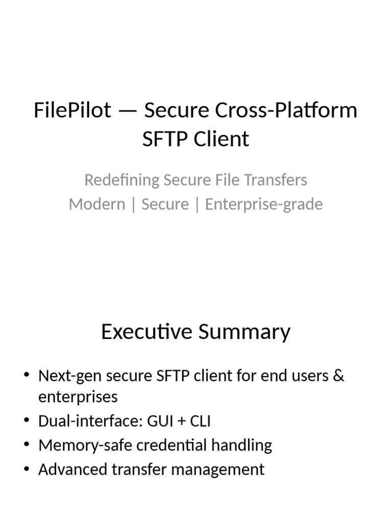 FilePilot Presentation | PDF | Command Line Interface | Computing