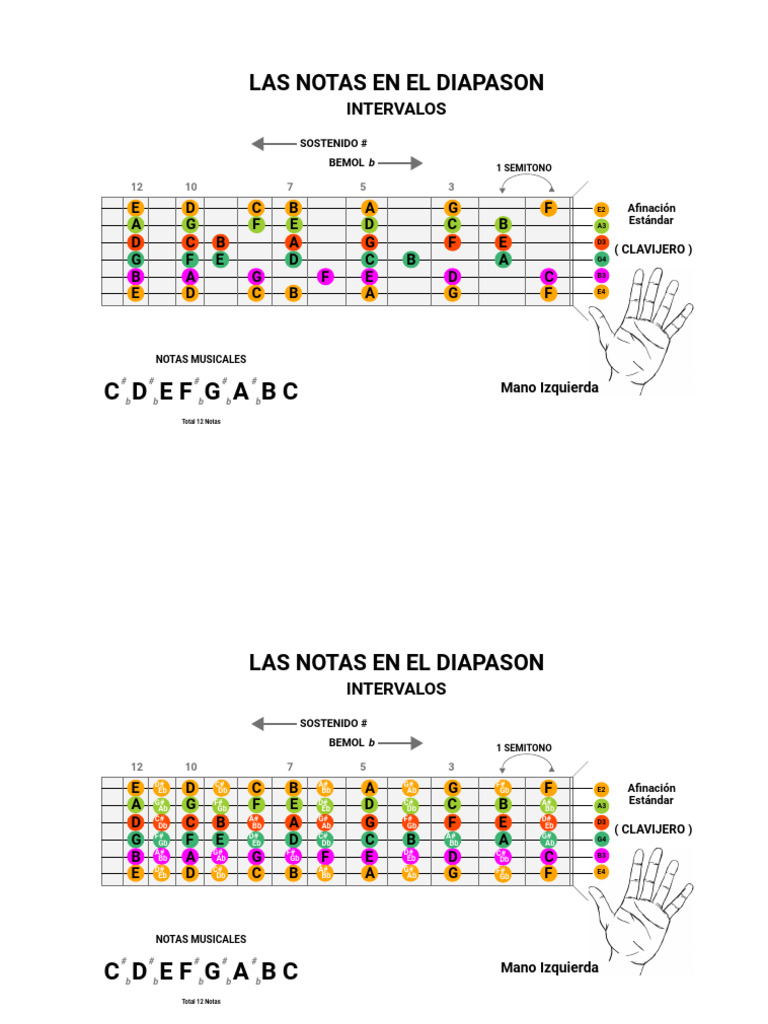 Notas y afinación del diapason | PDF | Notación musical | Sonido
