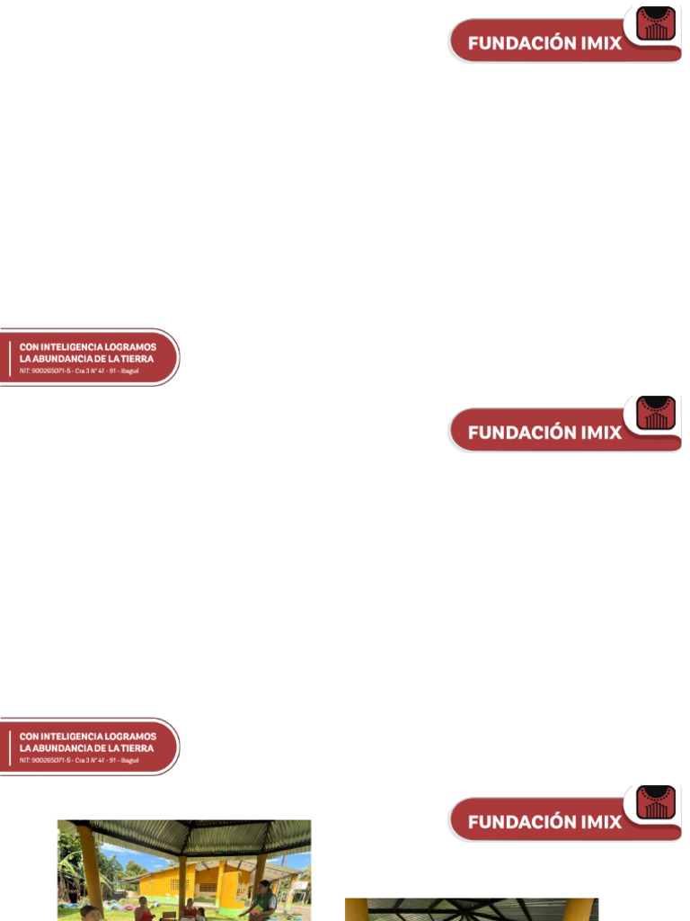 Evidencias Fiebre Amarilla - As2 | PDF