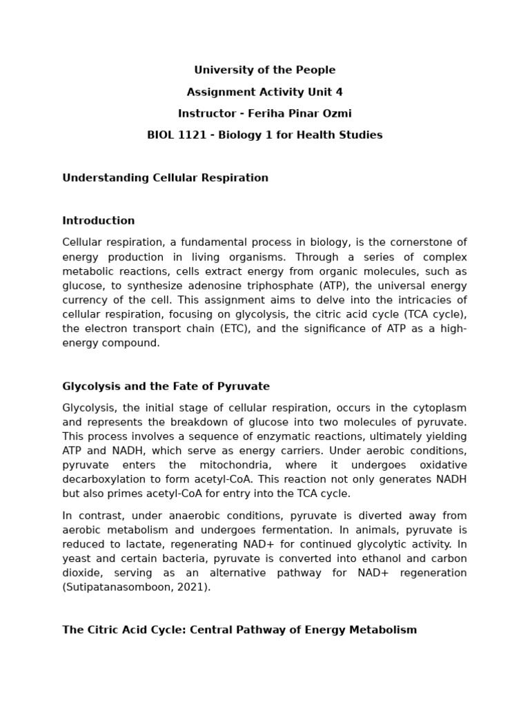 BIOL 1121 - Assignment Activity Unit 4 | PDF | Cellular Respiration ...