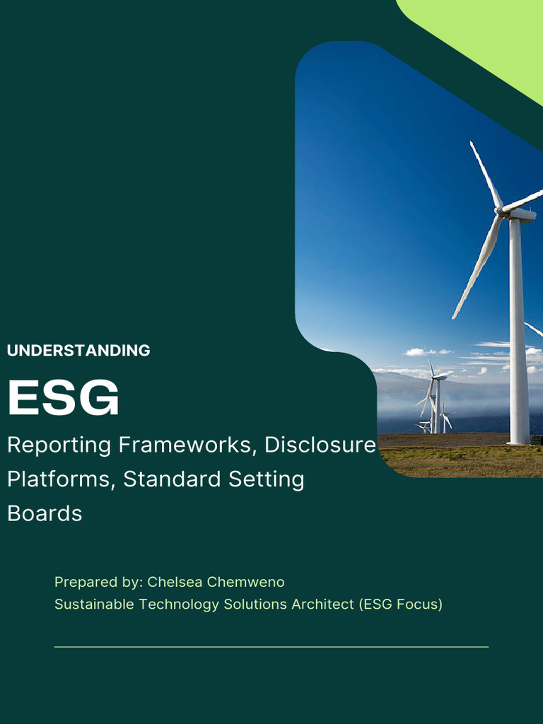 Key ESG Reporting Frameworks Explained | PDF | Business | Natural ...