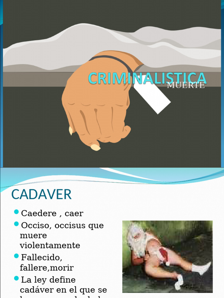 Cadaver 10 | PDF | Cadáver | Descomposición
