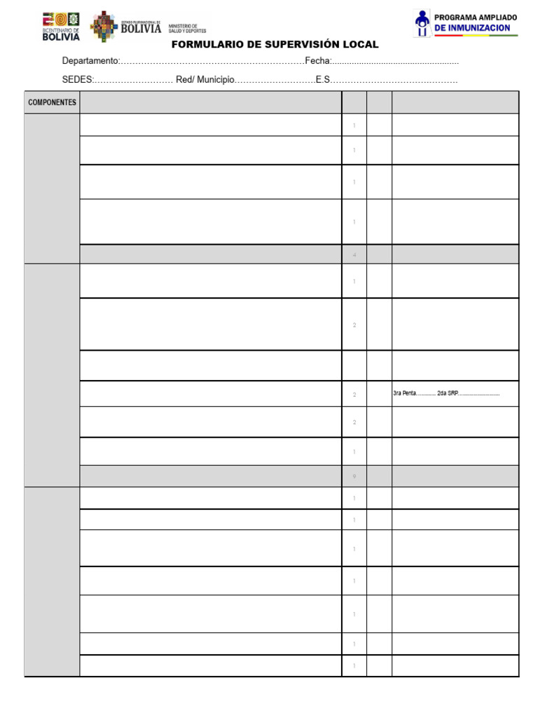 Formulario de Supervision Local | PDF