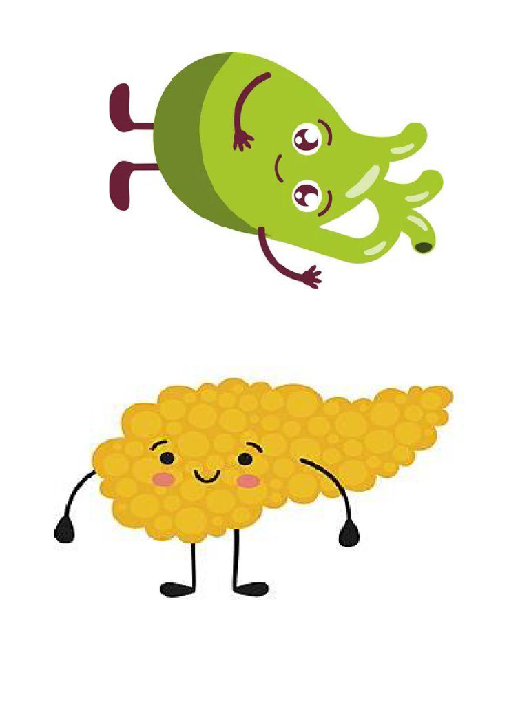 Órganos Internos.2 | PDF