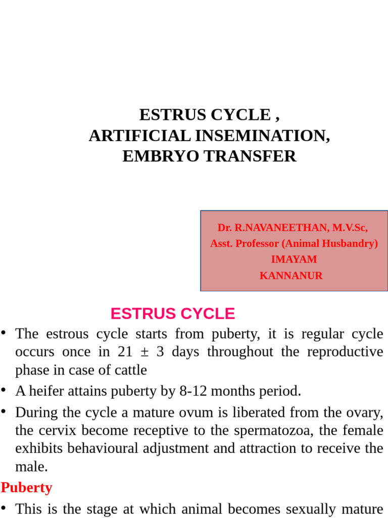 Lect-06.Oestrous Cycle, Ai, E.T | PDF | Female Mammals | Reproduction
