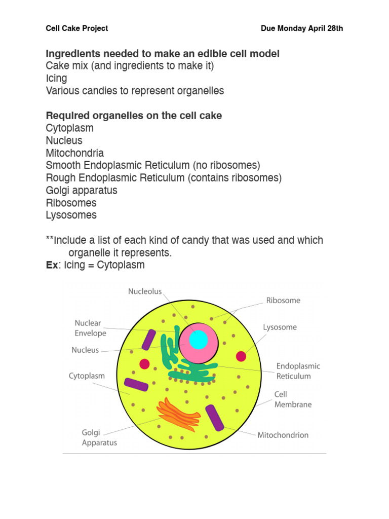 Ingredients Needed To Make An Edible Cell Model: Cell Cake Project Due ...