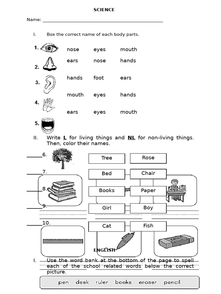 Grade-1-Sses-Entrance Exam | PDF