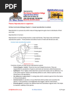 The Anatomy of Cattle Reproductive System | PDF | Luteinizing Hormone ...