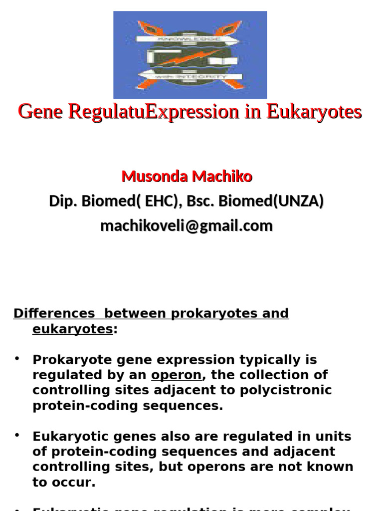 Gene Expression Control I | PDF | Messenger Rna | Promoter (Genetics)