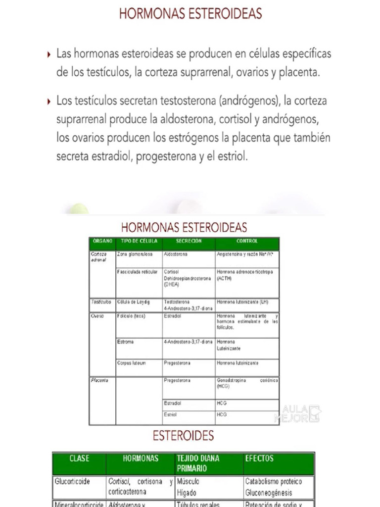 Antiinflamatorios Esteroideos | PDF