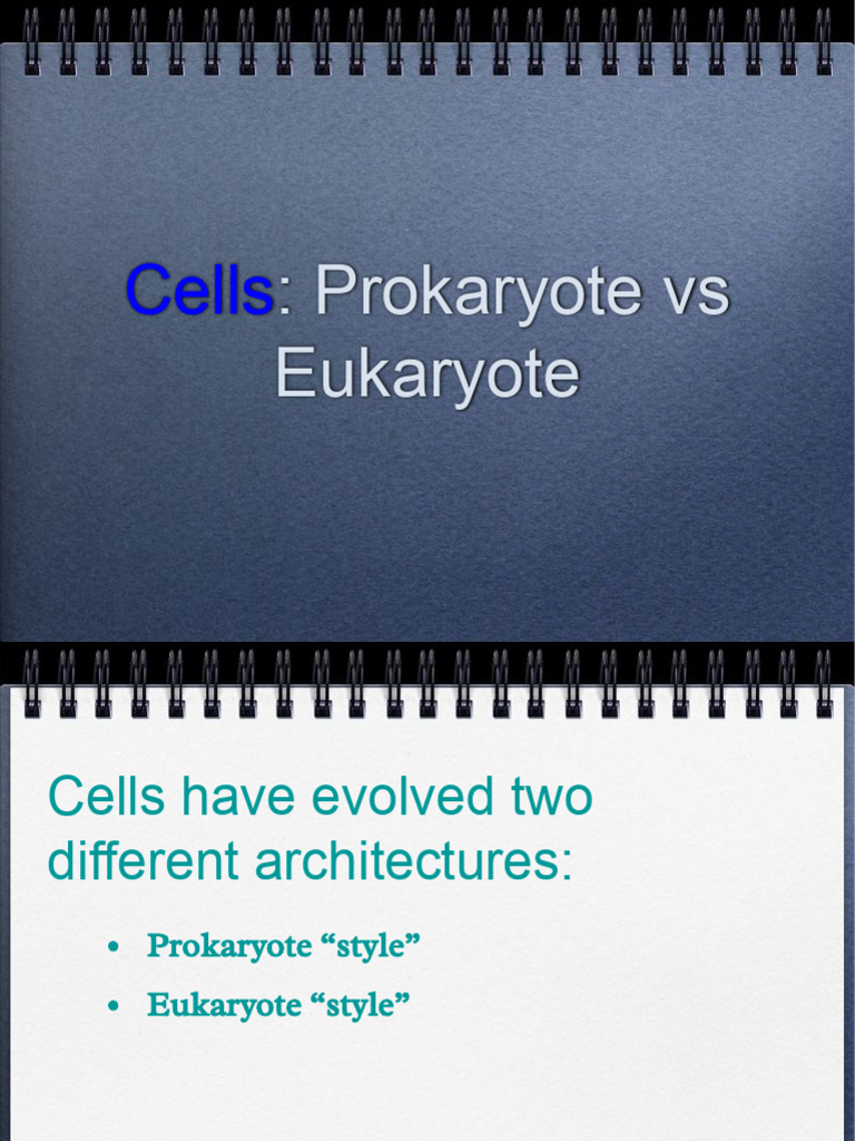 Lesson 4 - Cells - Prokaryotes vs. Eukaryotes | PDF | Cell (Biology ...