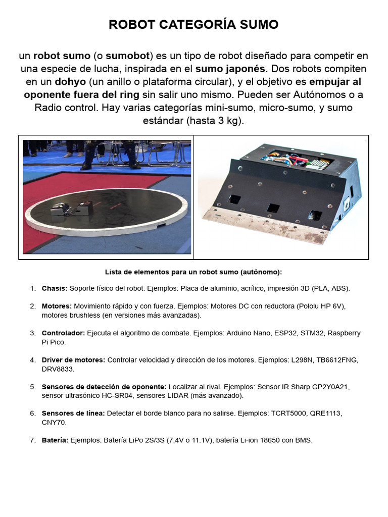 Flyer Sumo | PDF