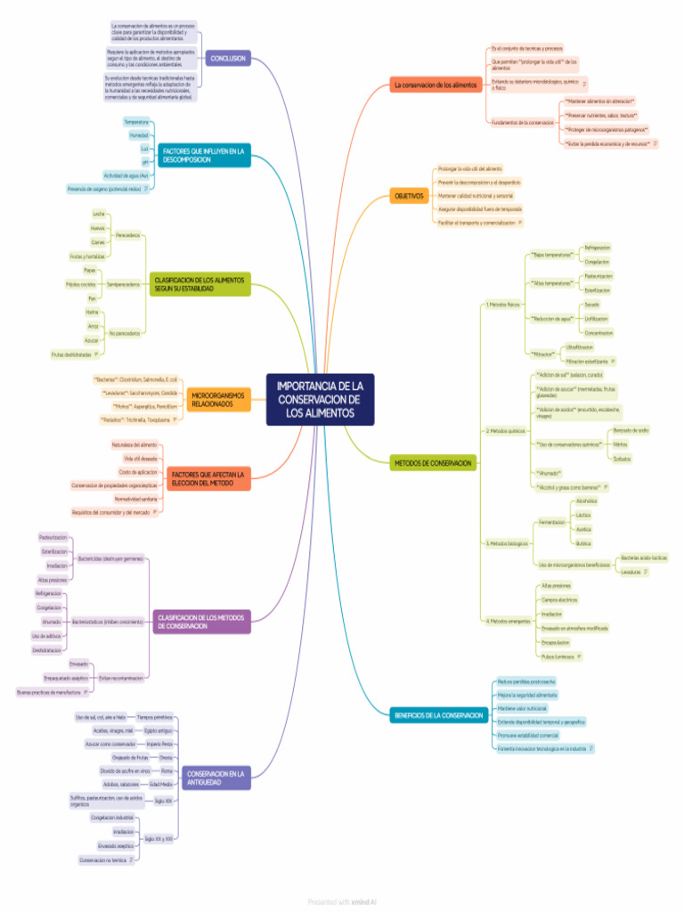 # Mapa Conceptual Importancia de La - Xmind | PDF